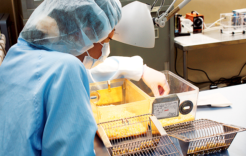 Center for Experimental Animals | Educational Facilities and Institutes ...